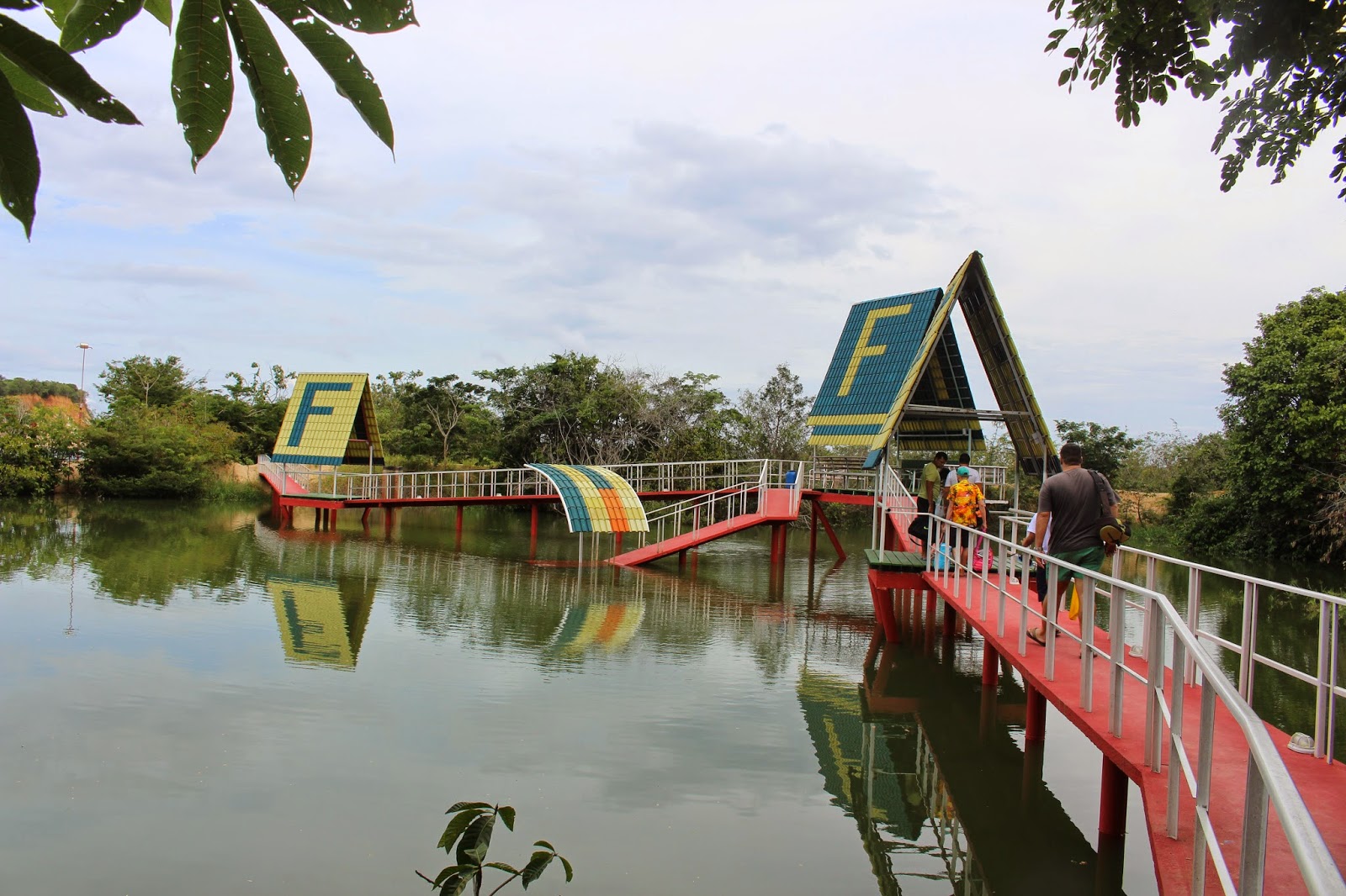 AMAZÔNIA EM IMAGENS: Amazon Fish