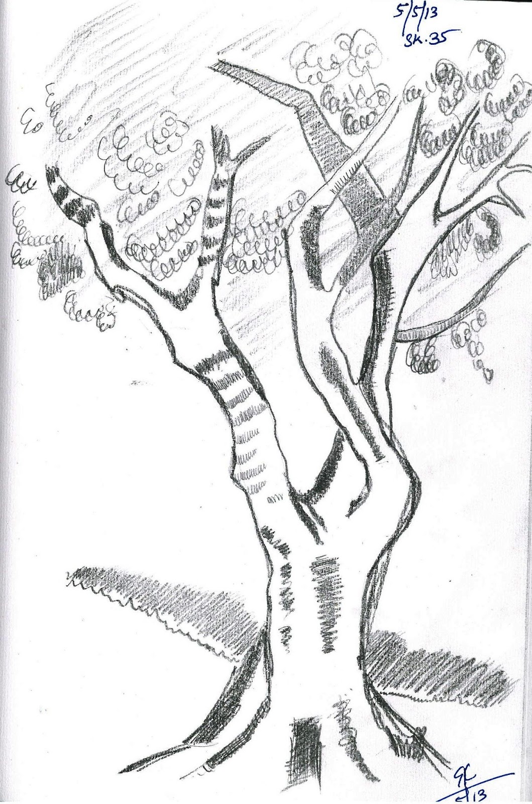 A Sketch A Day: Sketch # 35 - Tree