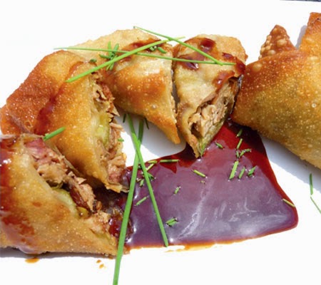 Pulled Pork Egg Rolls recipe -Taste USA