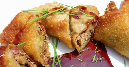 Pulled Pork Egg Rolls recipe -Taste USA