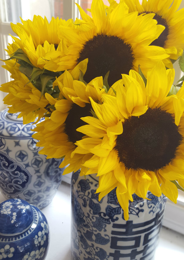 ciao! newport beach: september sunflowers