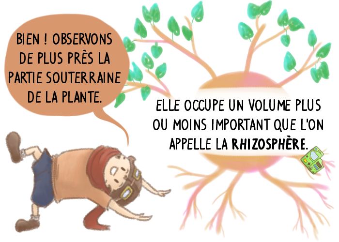 L'atelier d'une Cactus: Biologie végétale