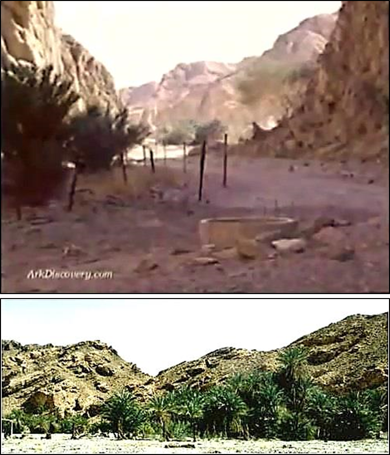 Predicador Cristiano: Imágenes de Elim