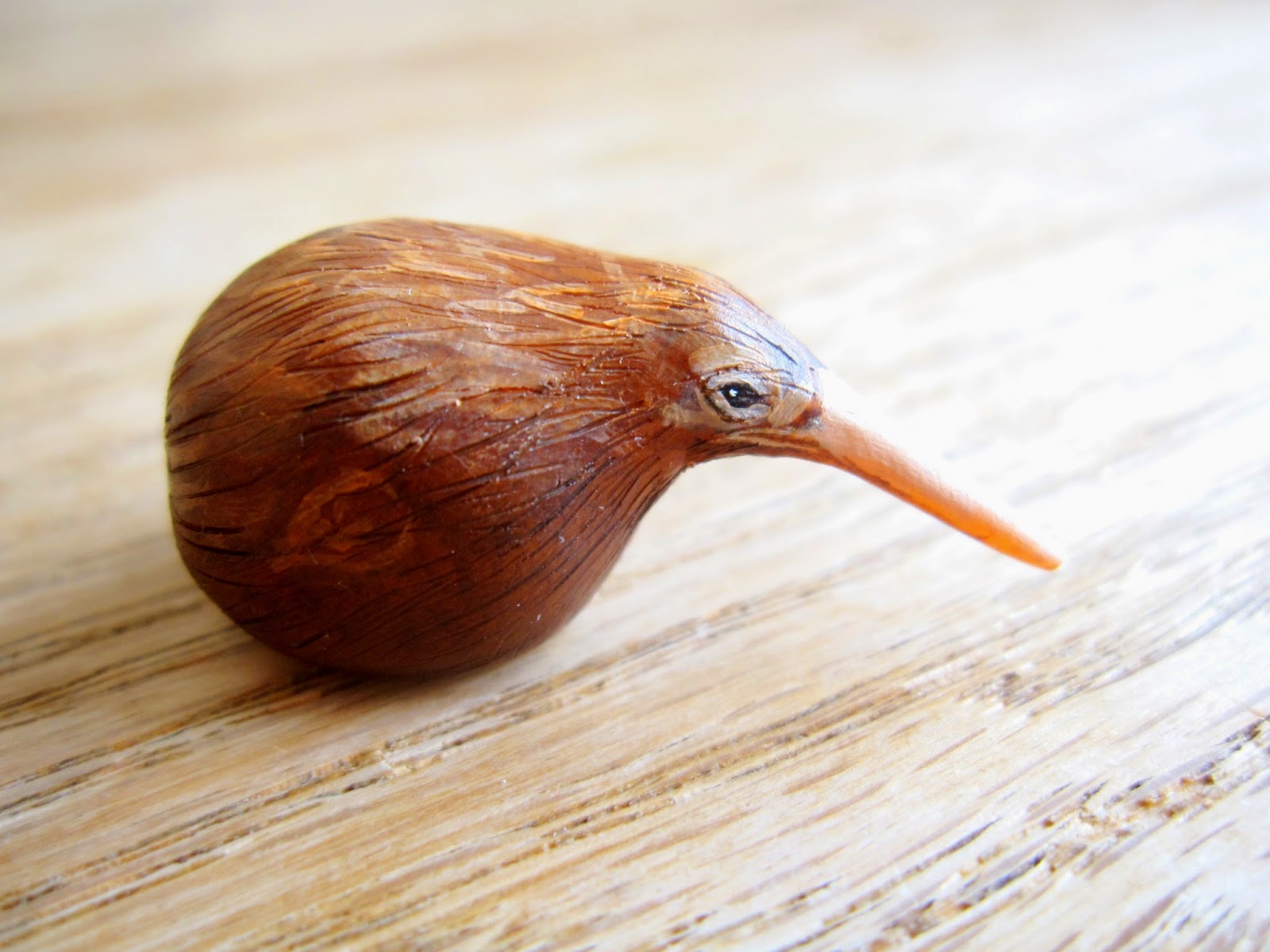 KIWI BIRD photos - wallpapers | the fun bank