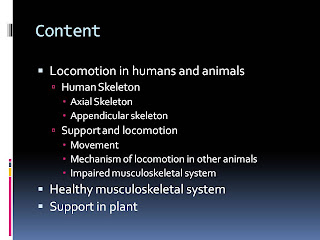 Biology: Support and Locomotion