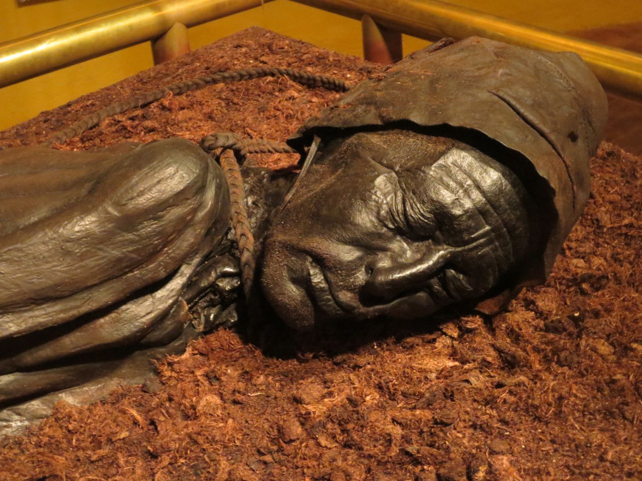 Ms. Raino's Science Classroom!: Peat Bog Bodies by Joe