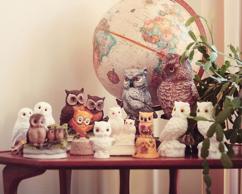 My Owl Barn: Owl Collection