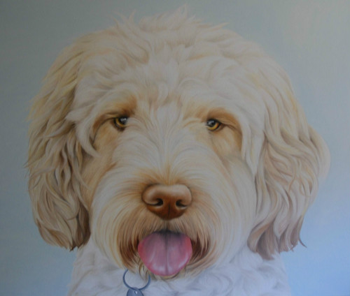 Boris the Cockapoo Pet Portraits Dorset UK artist paints dog cat oil ...