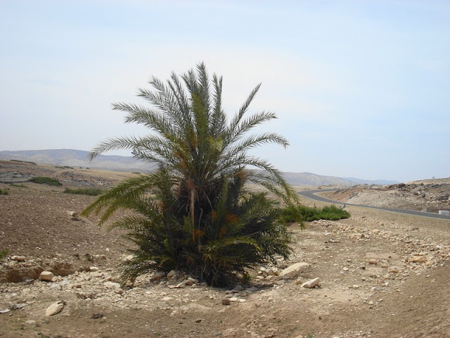 douars du maroc