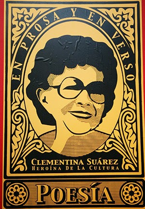 ~Pequeñas estaciones~: Un poema de Clementina Suárez