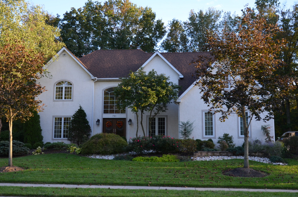 HOUSEography: Nick & Jolaine's House: Divided light windows