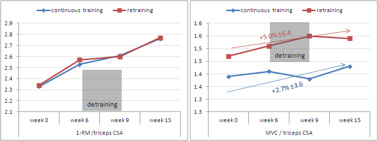 Training, Detraining, Retraining: Build Bigger and Stronger Muscles by ...