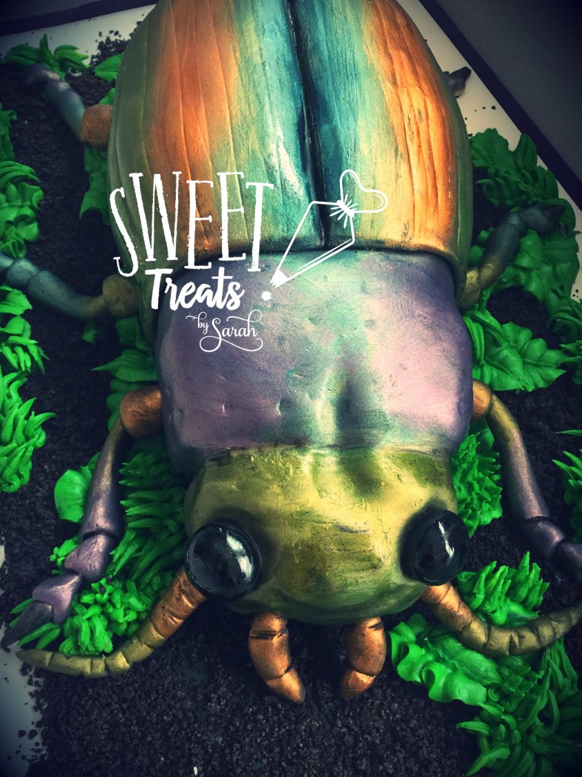 Sweet Treats by Sarah: Beetle Cake