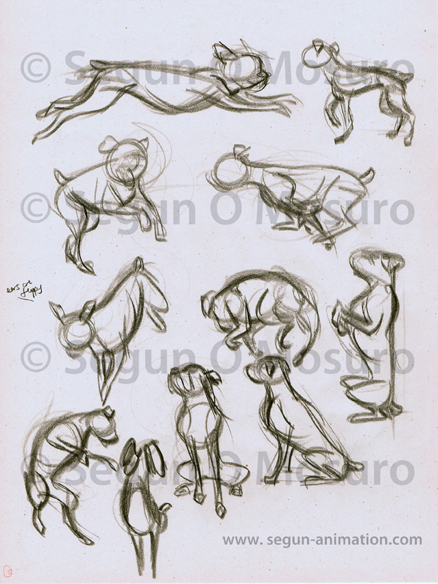 The Art & Animation of Segun O. Mosuro: Dog Studies: 1 - 2 Minute ...