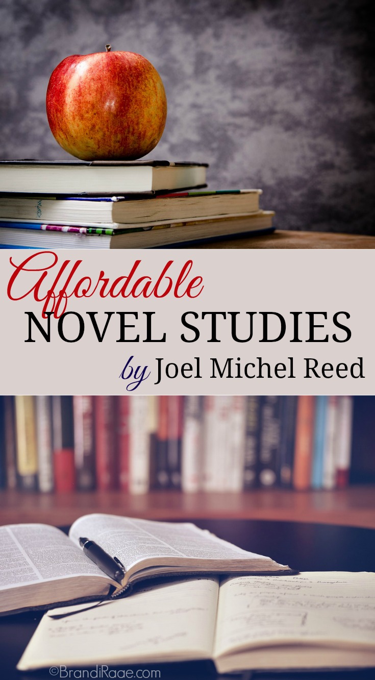 Brandi Raae: Affordable Novel Studies by Joel Michel Reed