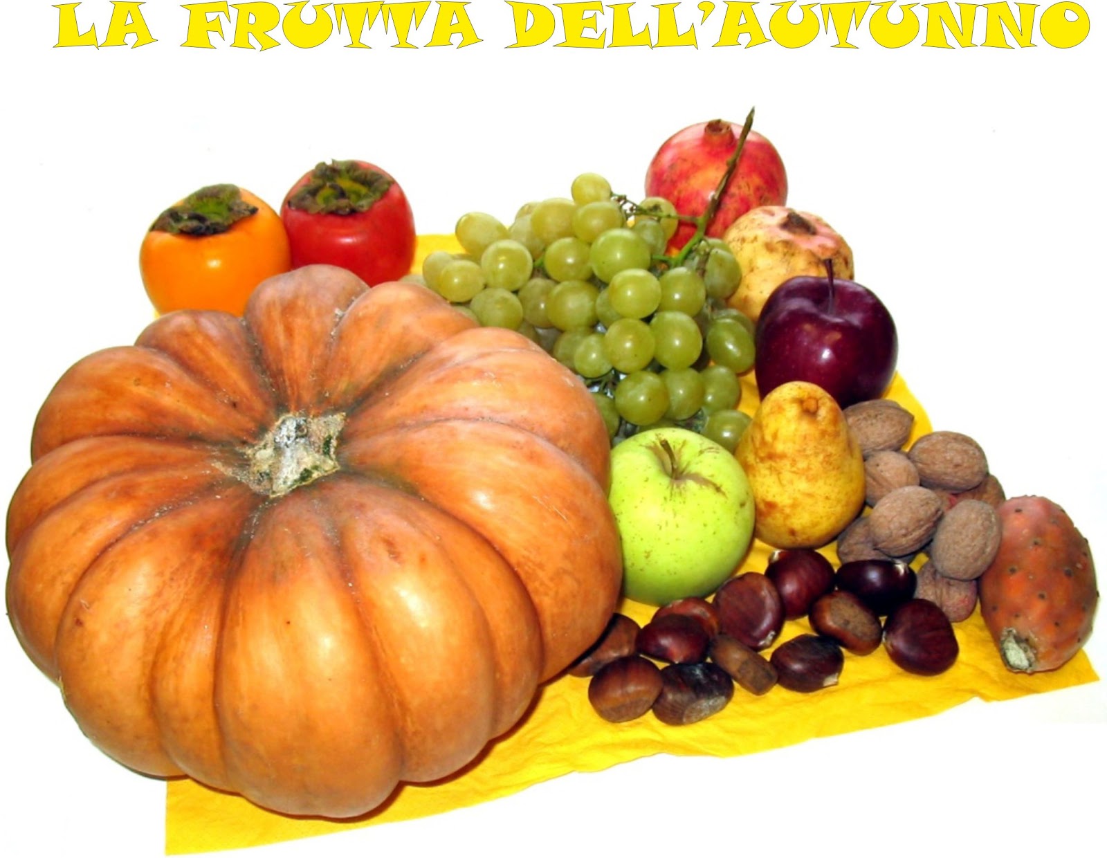 A Scuola con Poldo: SECONDA TAPPA: GRAPPOLO