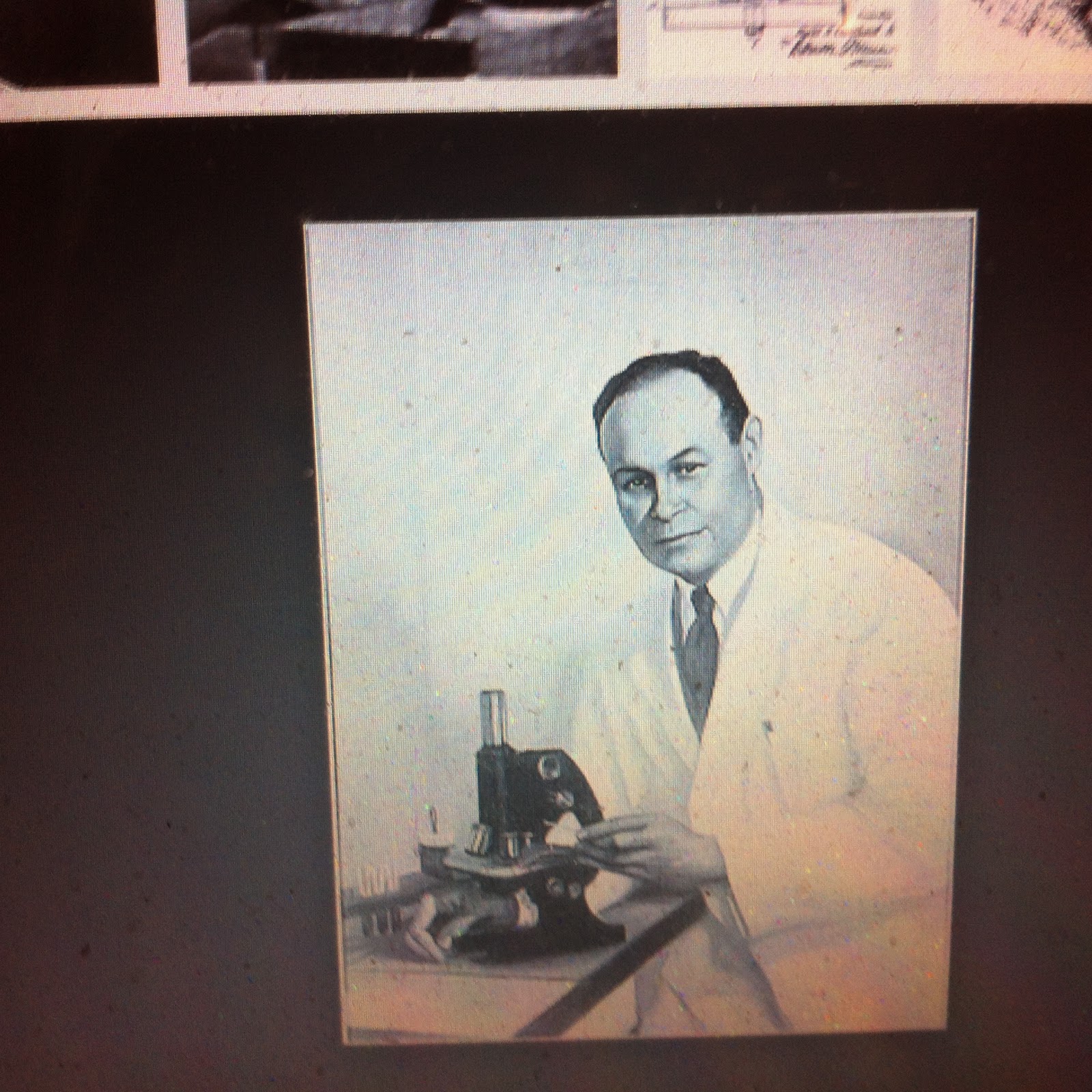 THE BLACK SOCIAL HISTORY:: BLACK SOCIAL HISTORY : AFRICAN AMERICAN ...