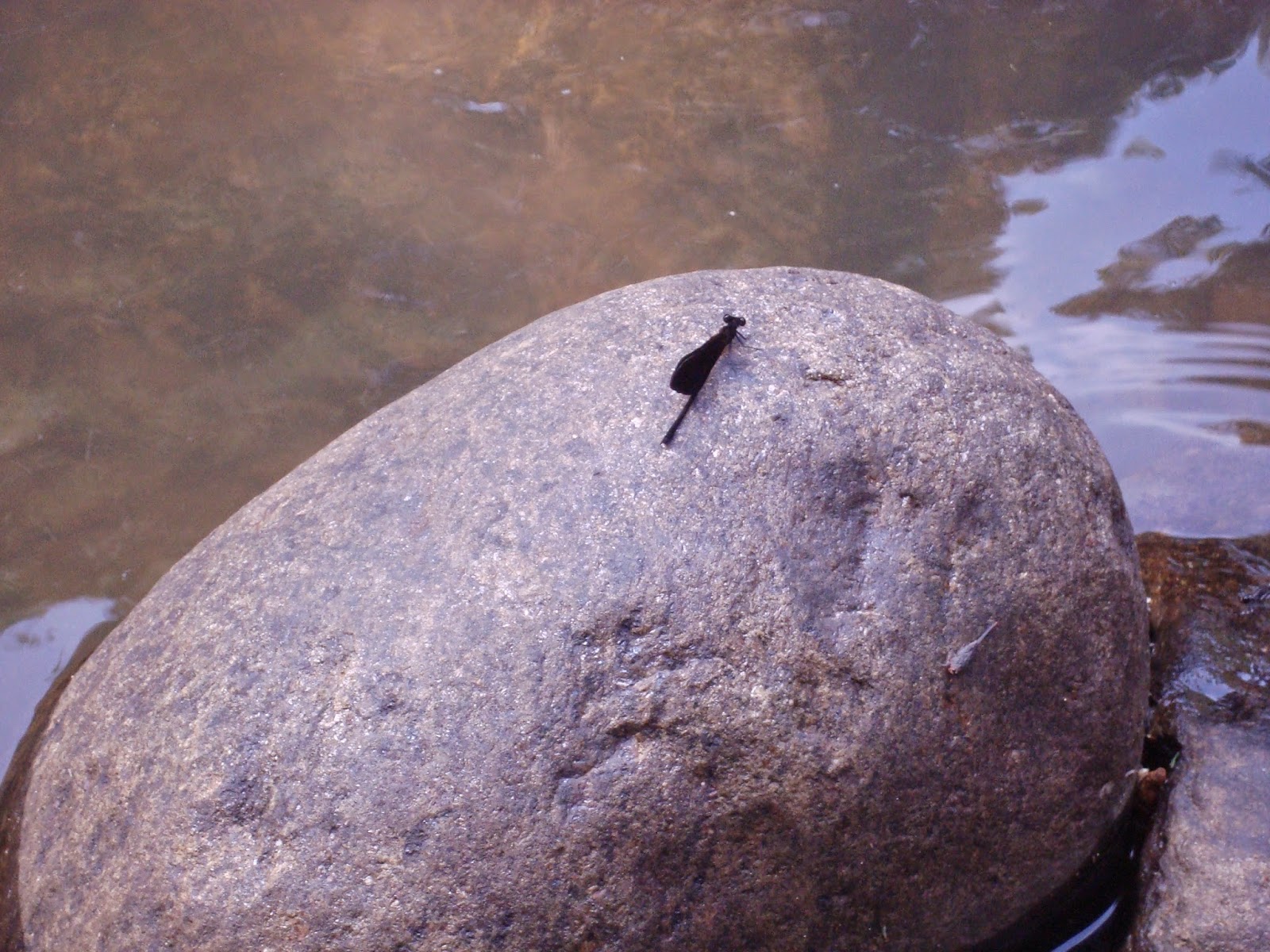 Bath Koora on the rock...