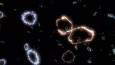 The Turbulent Scientist: A bunch of universes made up of strings