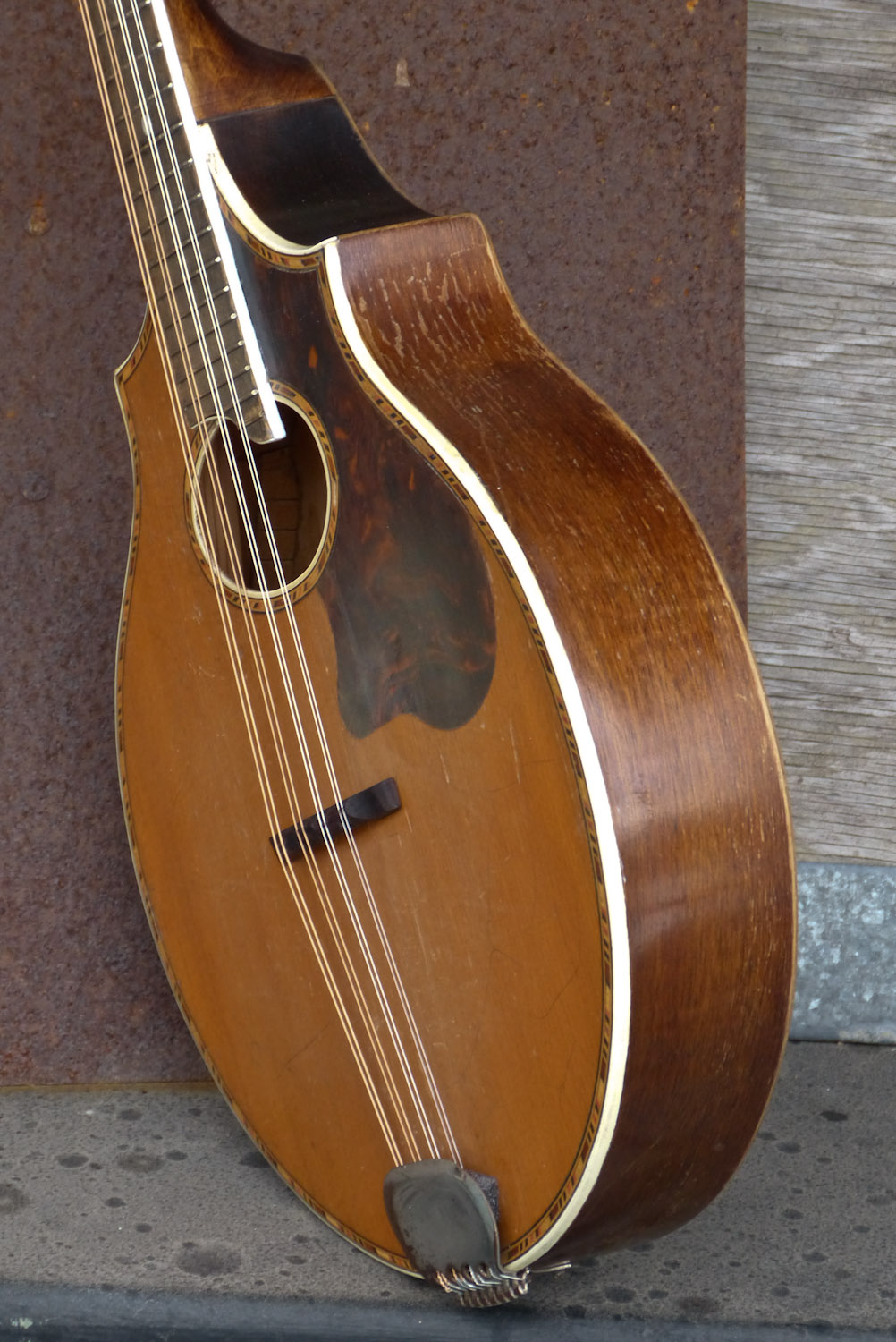 1920s Regal-made Two-Point Flatback Mandolin