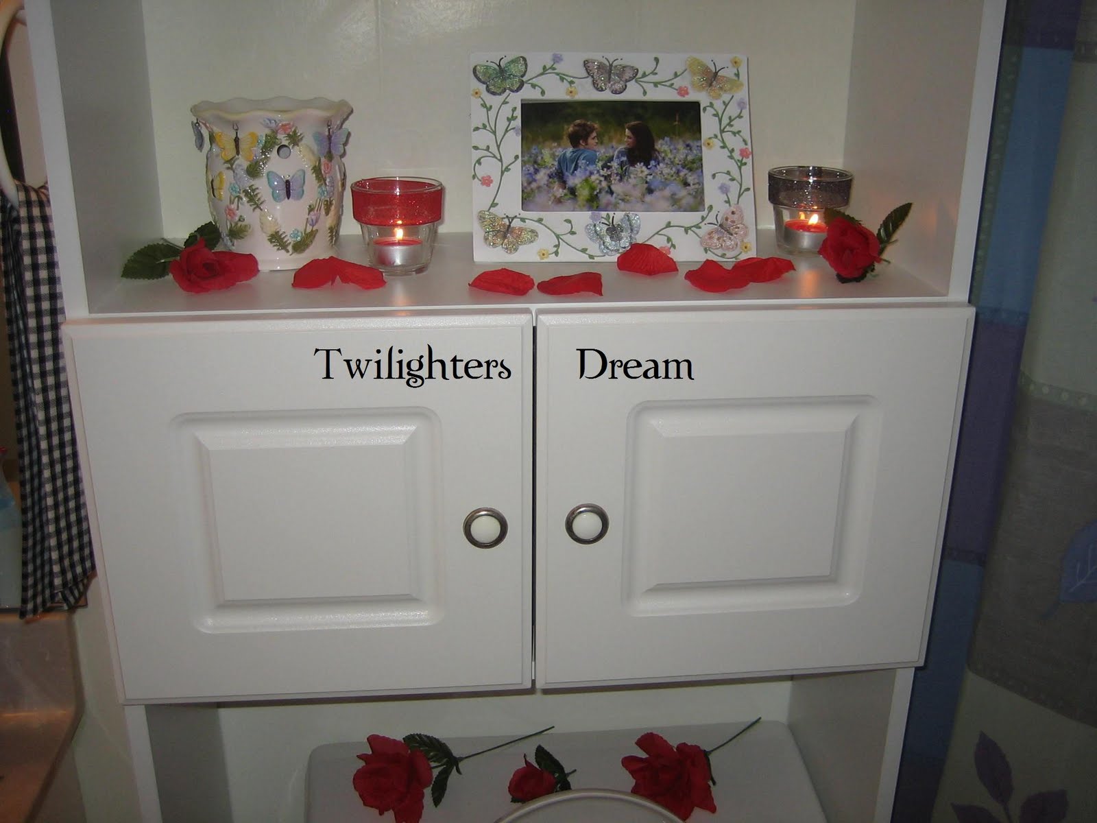 Twilighters Dream: Twilight Party Decorations