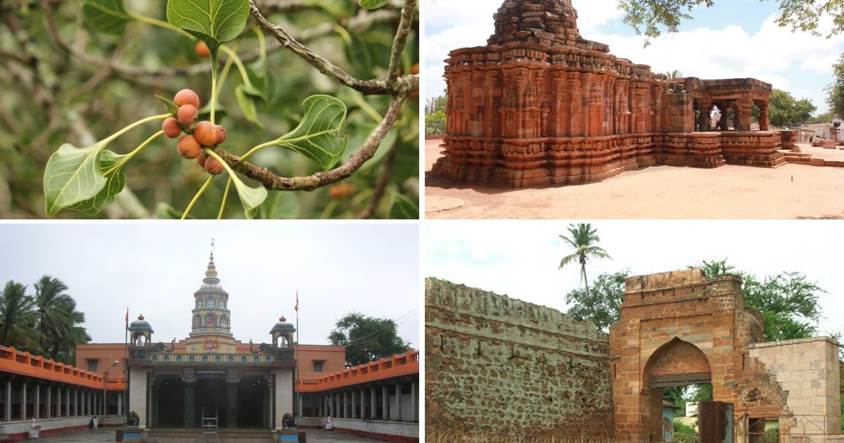 Journeys across Karnataka: What to see in Dharwad district?