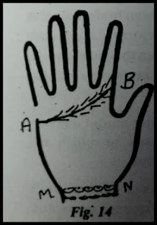 Bracelet Lines ( Manibandh Rekha ) Palmistry ~ INDIAN PALMISTRY | PALM ...