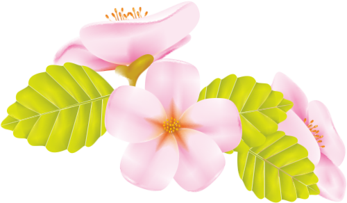 Jogjacartoon: Desain Bunga Vector CDR