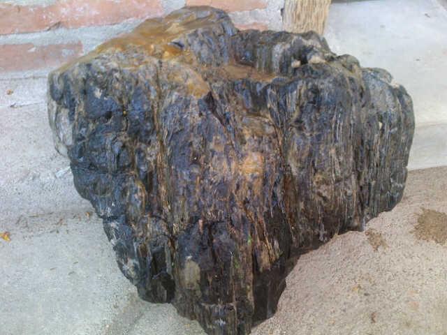 Museum Fosil Kayu Indonesia: GURATAN, WARNA, DAN BERAGAM BENTUK FOSIL KAYU