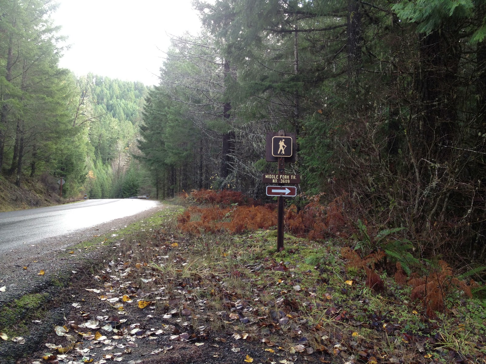Middle Fork Willamette Trail: Sand Prairie to Pine Creek
