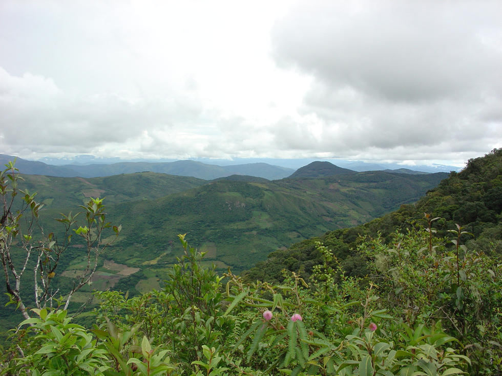 PARQUE NACIONAL AMBORÓ | Viajes y Turismo