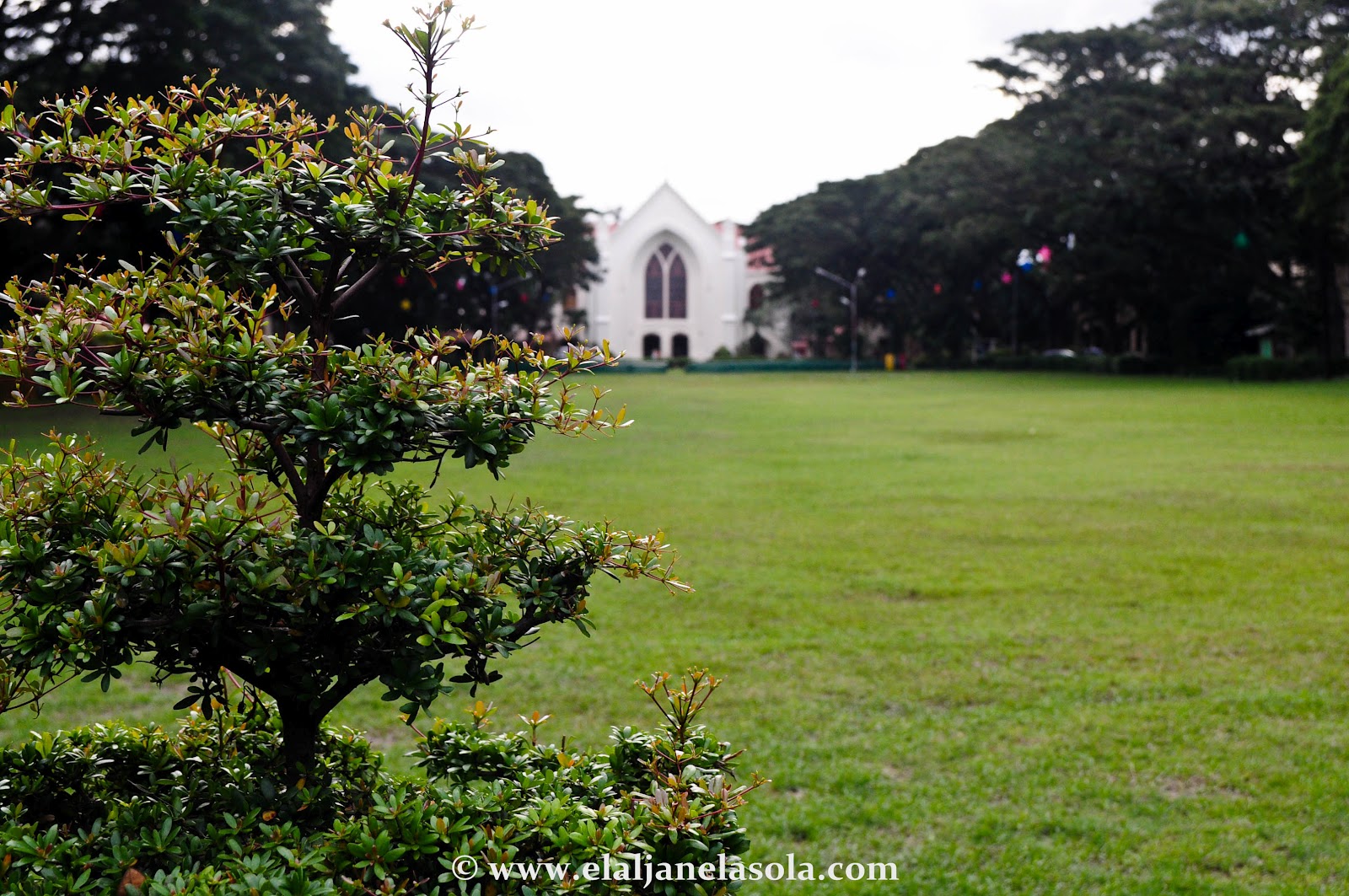 Elal Lasola Travel & Photography: Walk Around Dumaguete City: Silliman ...