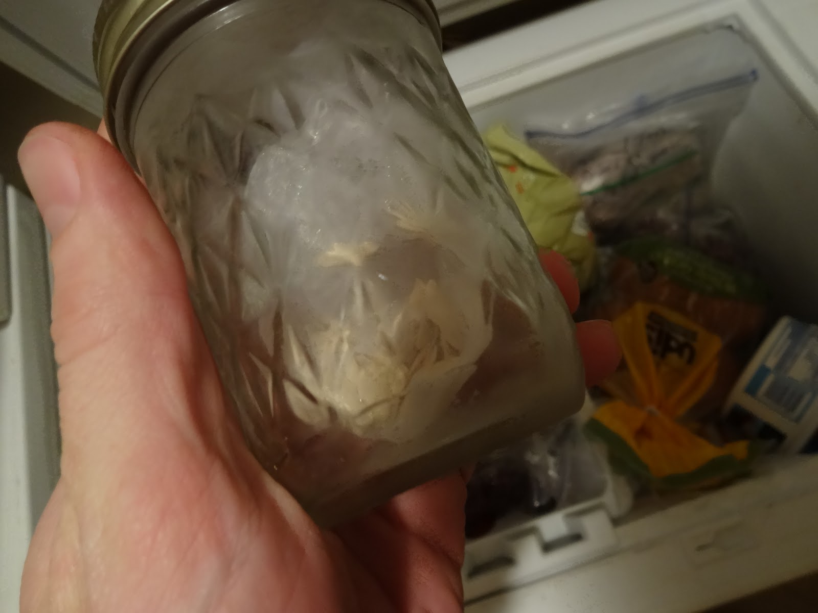 The Scientific Gardener: Long Term Storage of Seeds