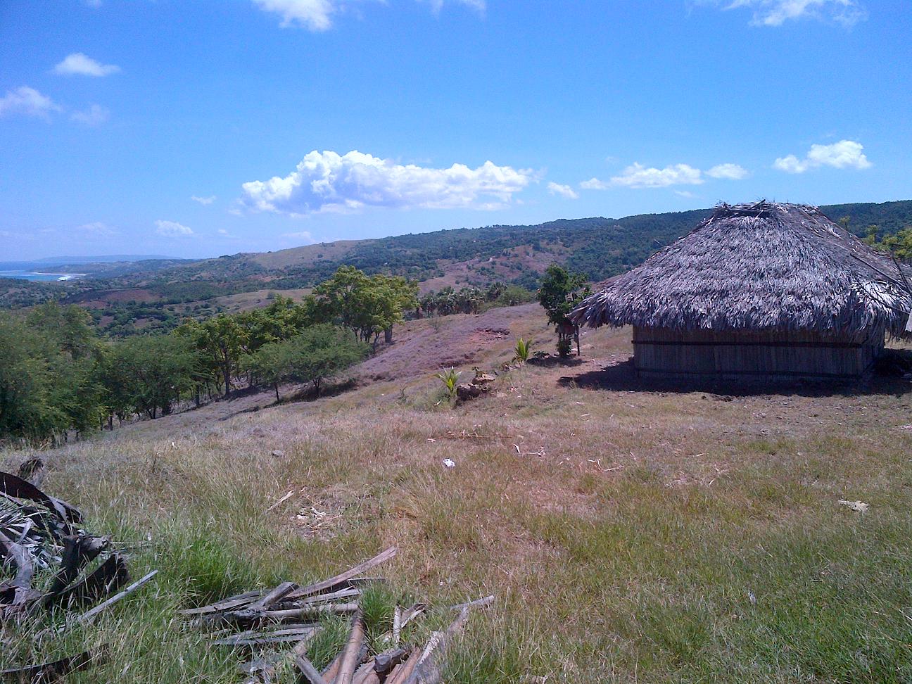 KOTA WISATA: Rumah Adat masyarakat sabu raijua