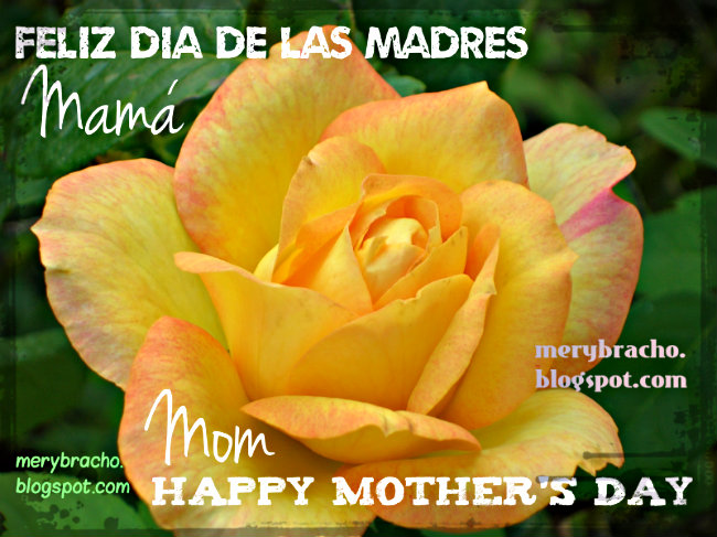 Feliz Día de las Madres 2024. Happy Mother's Day