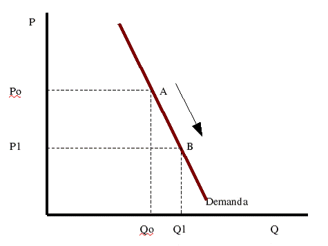 Vista Mundial: La Demanda