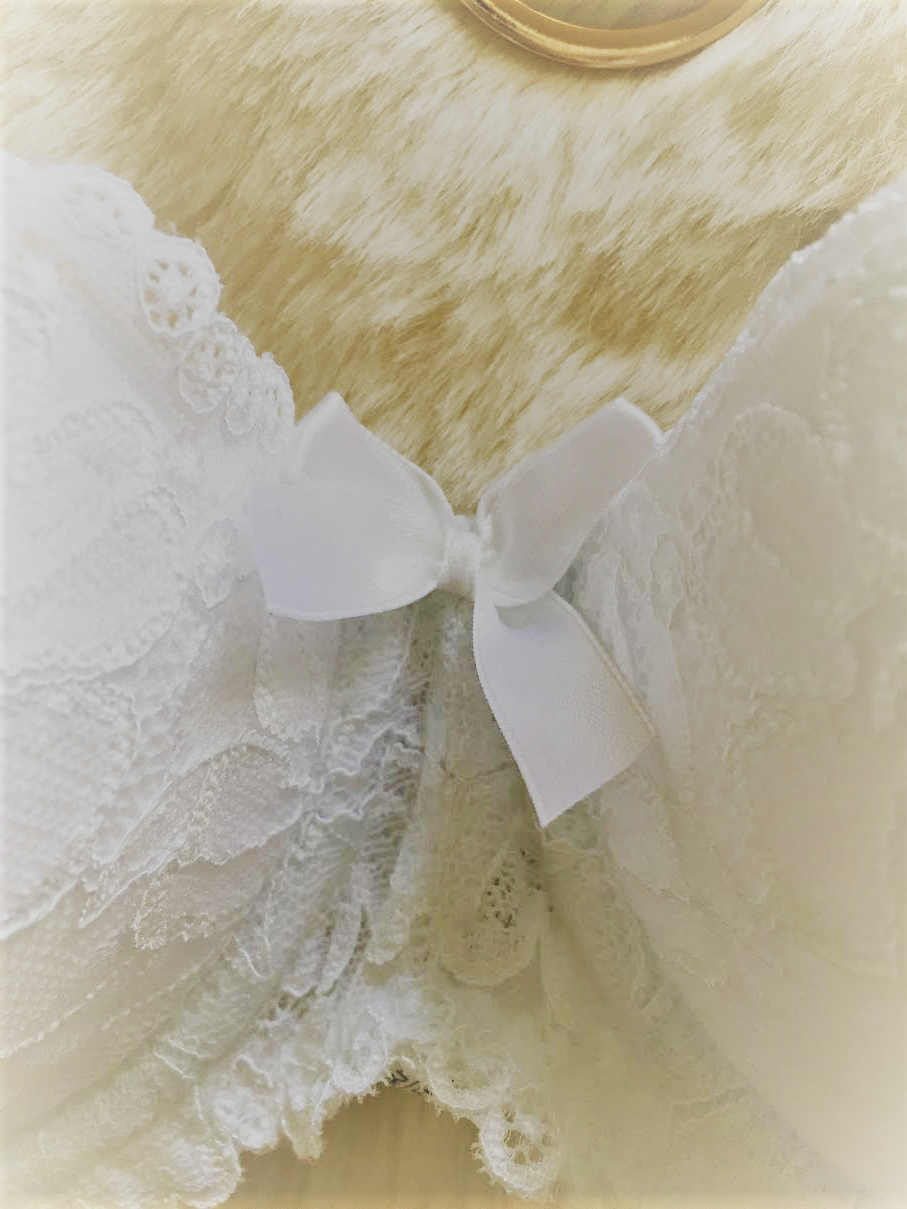 Astratex- eshop so spodnou bielizňou - Rebelliouslily