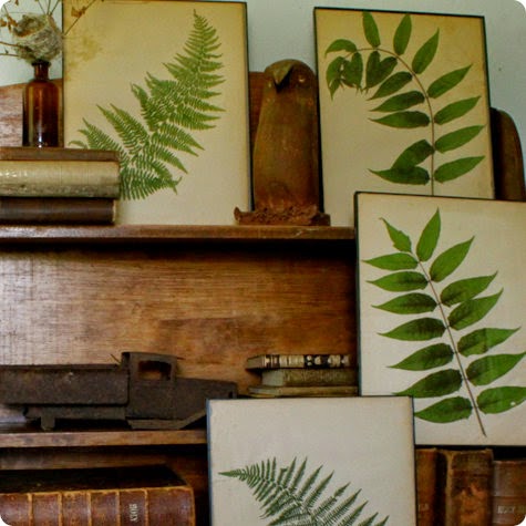 Eye For Design: Decorate With Fern Decor For Trendy Interiors