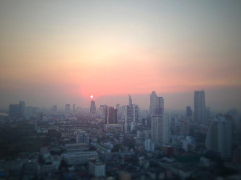 finding a wonderland