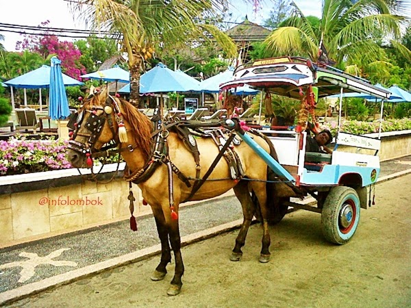 panjitilar: MACAM-MACAM KEBUDAYAAN LOMBOK