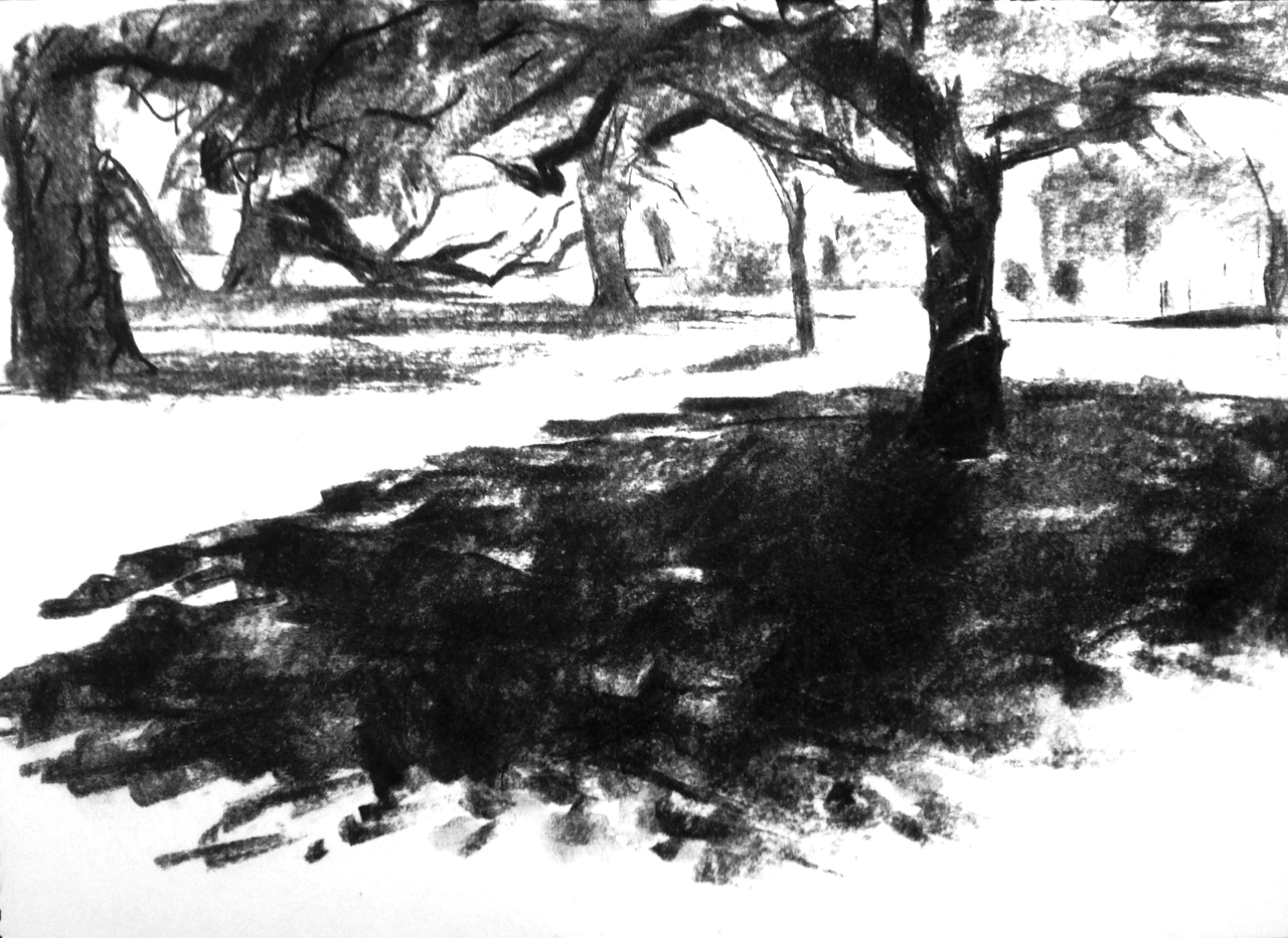 Urban Sketchers London: Spring sun, tree shadow
