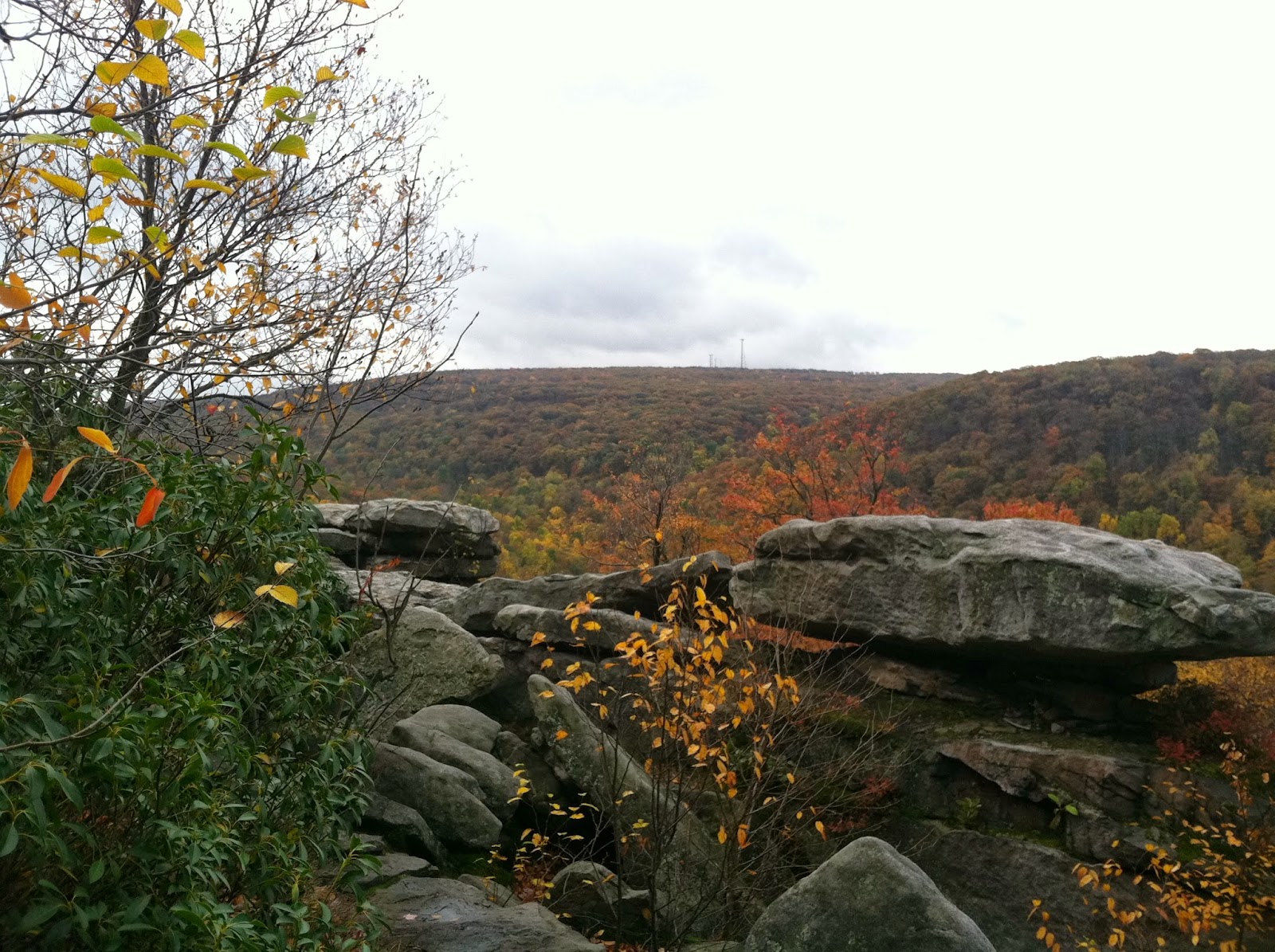 Snow and Jaggers: Forbes State Forest: Wolf Rocks Overlook