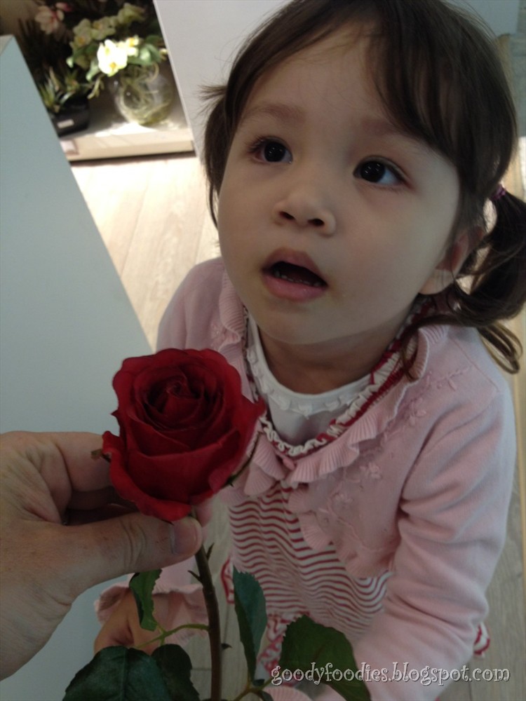 GoodyFoodies: Valentine's @ Kita No Zen & Delectable by Su, The Gardens ...