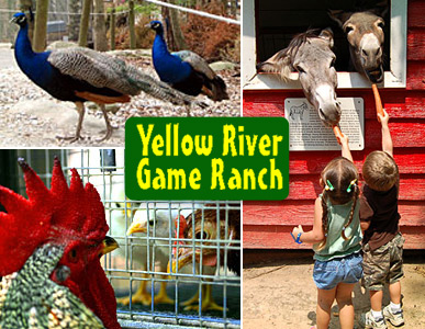 BEST MUSEUMS IN GEORGIA!