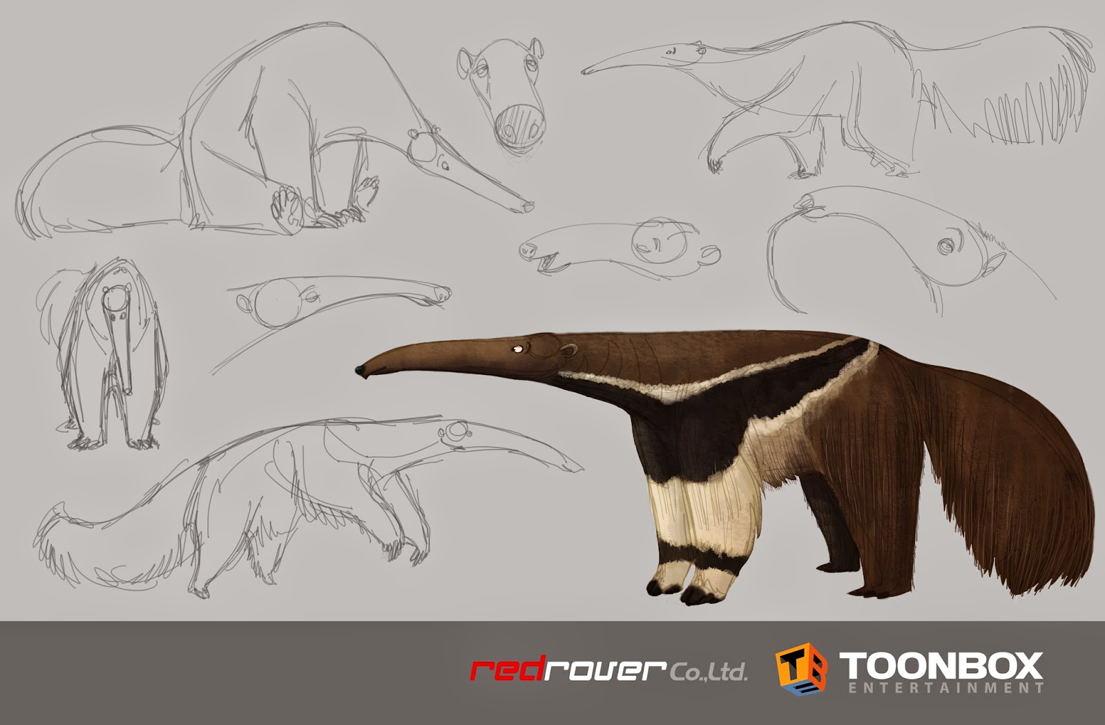 Shane Doyle animation,design,storyboards: Anteater