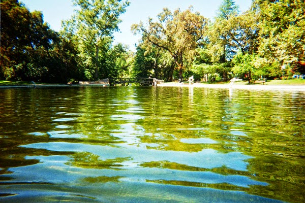 Stop the Republican Recall - Newsom is Doing a Great Job: Photographs ...