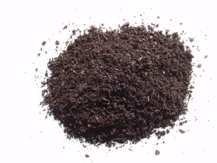 Different soilless media for growing plants ~ Aquaponics And ...