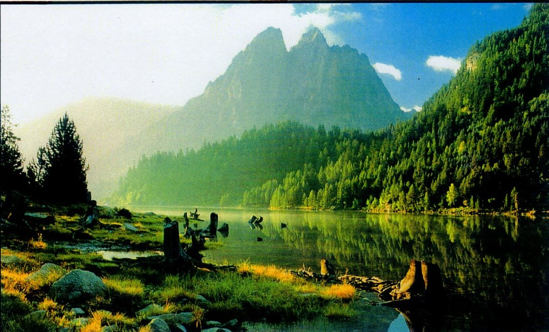 Apparemment, la composition était trop ouverte sur la gauche. Il a donc ...