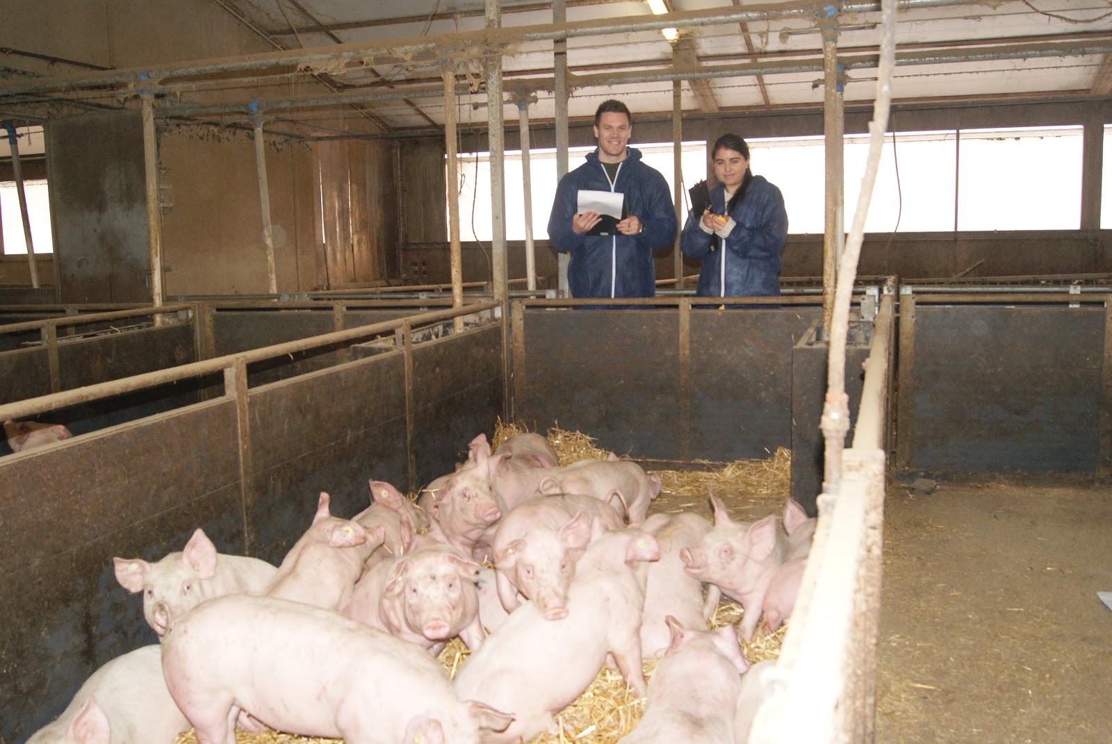 JMICAWE Activities: Dick Vet Masters students visit a pig unit - to ...