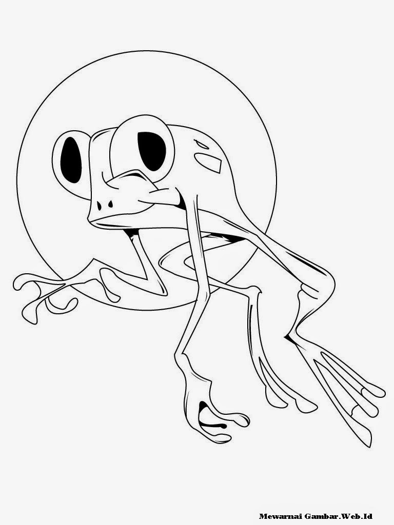 Mewarnai Gambar Katak | Mewarnai Gambar